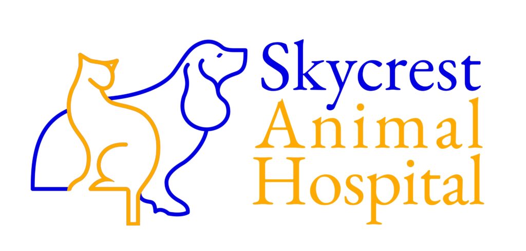 Boarding Success | Skycrest Animal Hospital